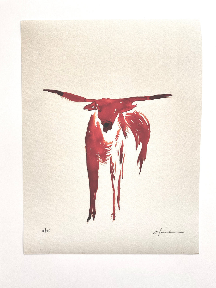 Prints – Chris Coleman Creative